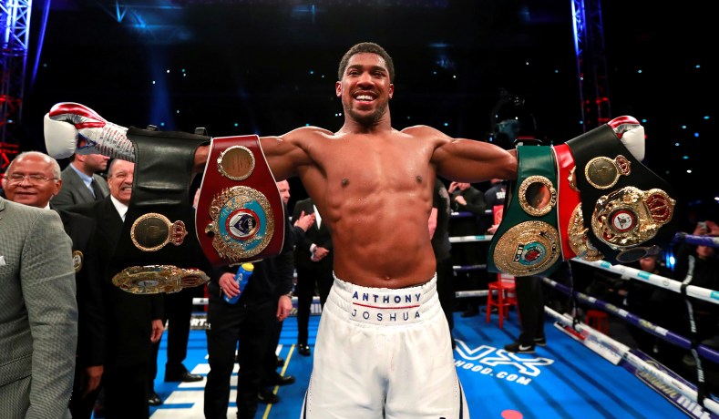 Anthony Joshua Biography Facts, Childhood, Net Worth, Life | SportyTell